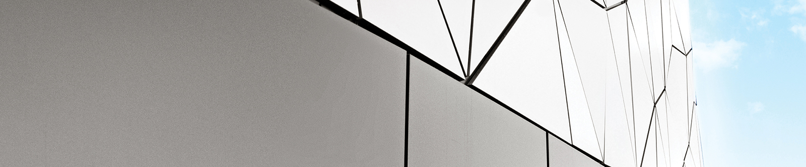 Your Building Facade Systems Partner | Elemex Agents